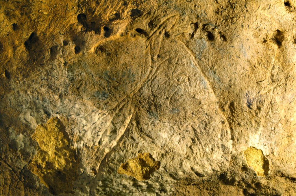 Grotte des Grotte des combarelles ff tourisme et patrmoine souterrain